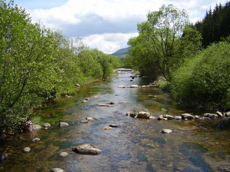 chránené územia – NAPANT