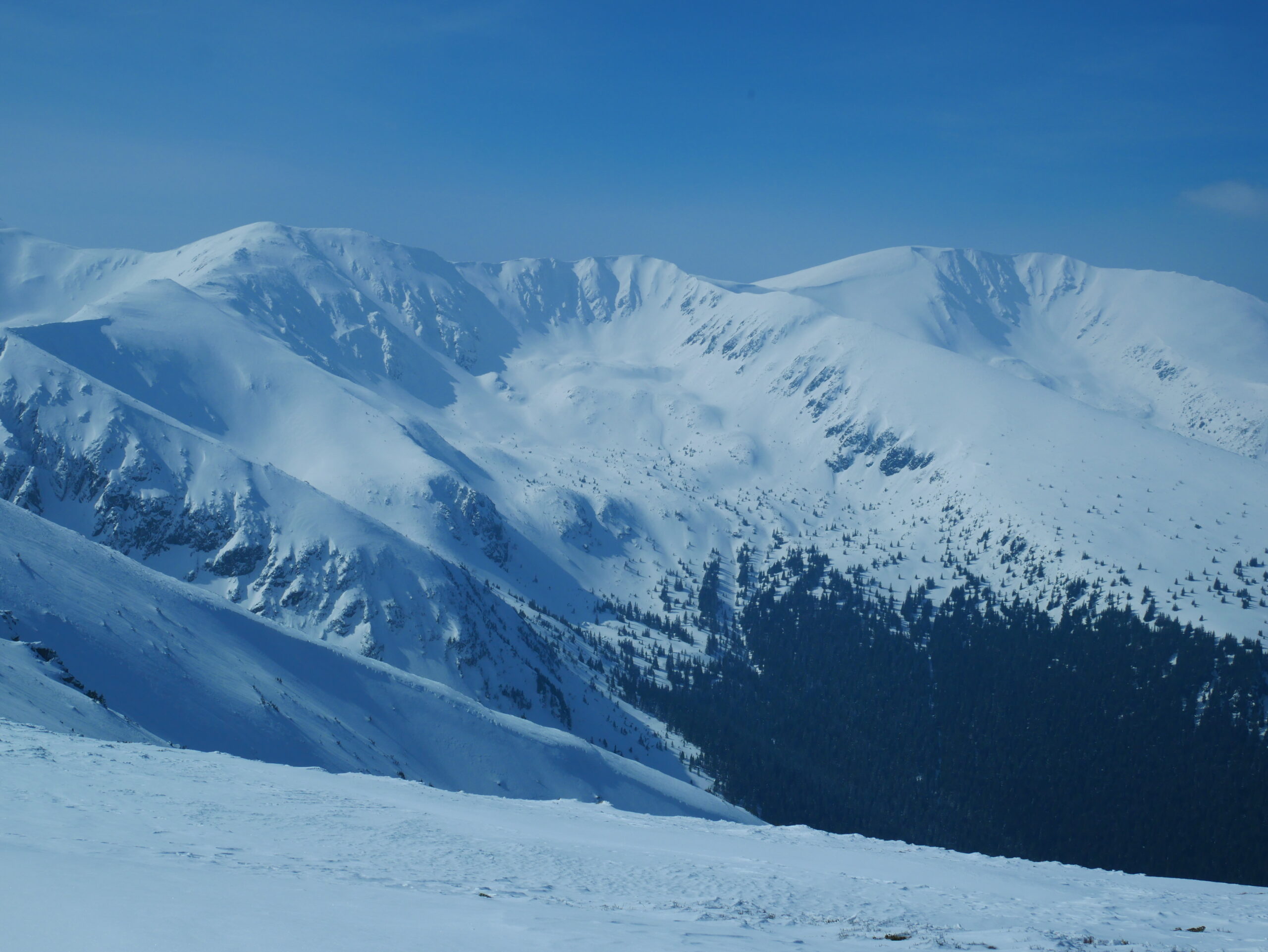 Oslávme príchod Nového roku 2024 v tichosti – NAPANT