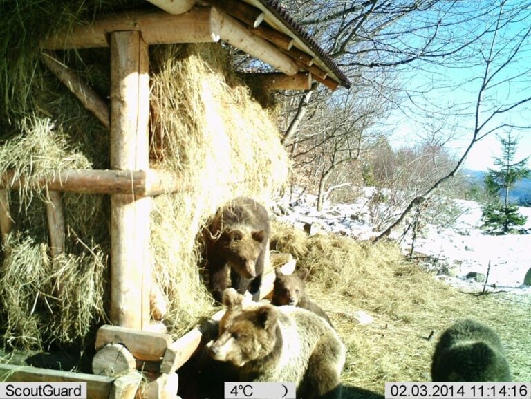 NAPANT – Oficiálny web Správy NAPANT