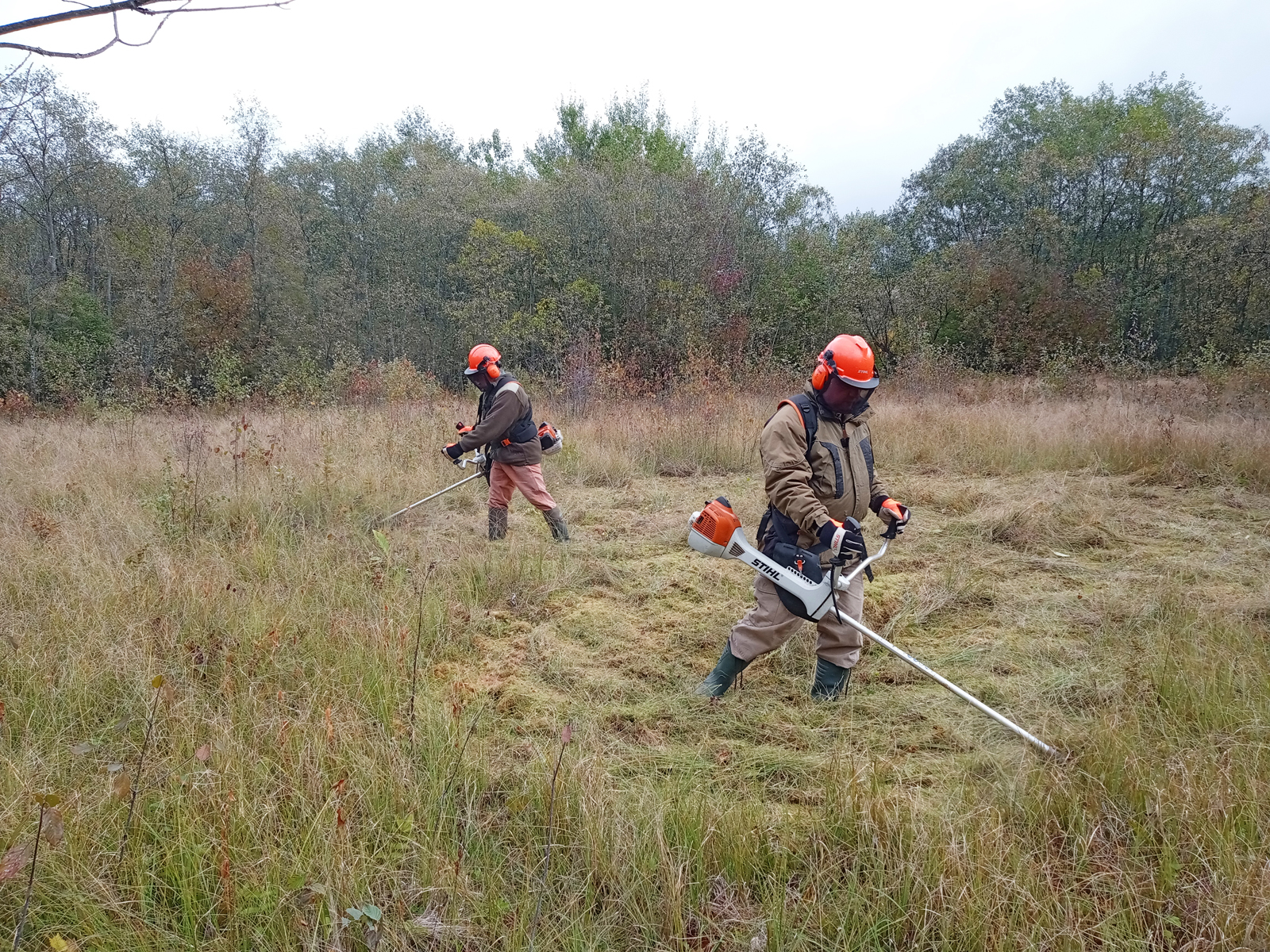 NAPANT – Oficiálny web Správy NAPANT